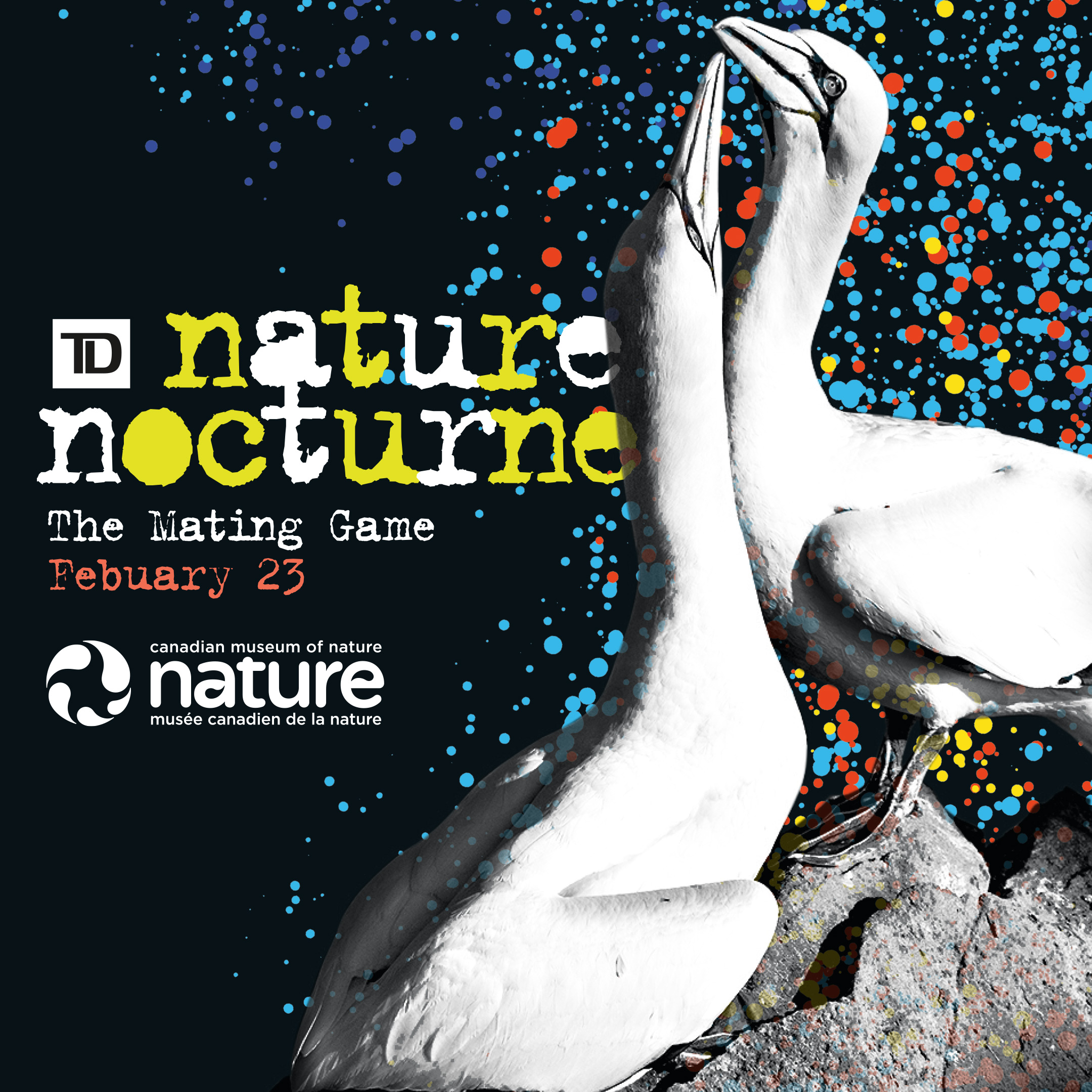 Nature Nocturne: The Mating Game | JUMP Radio