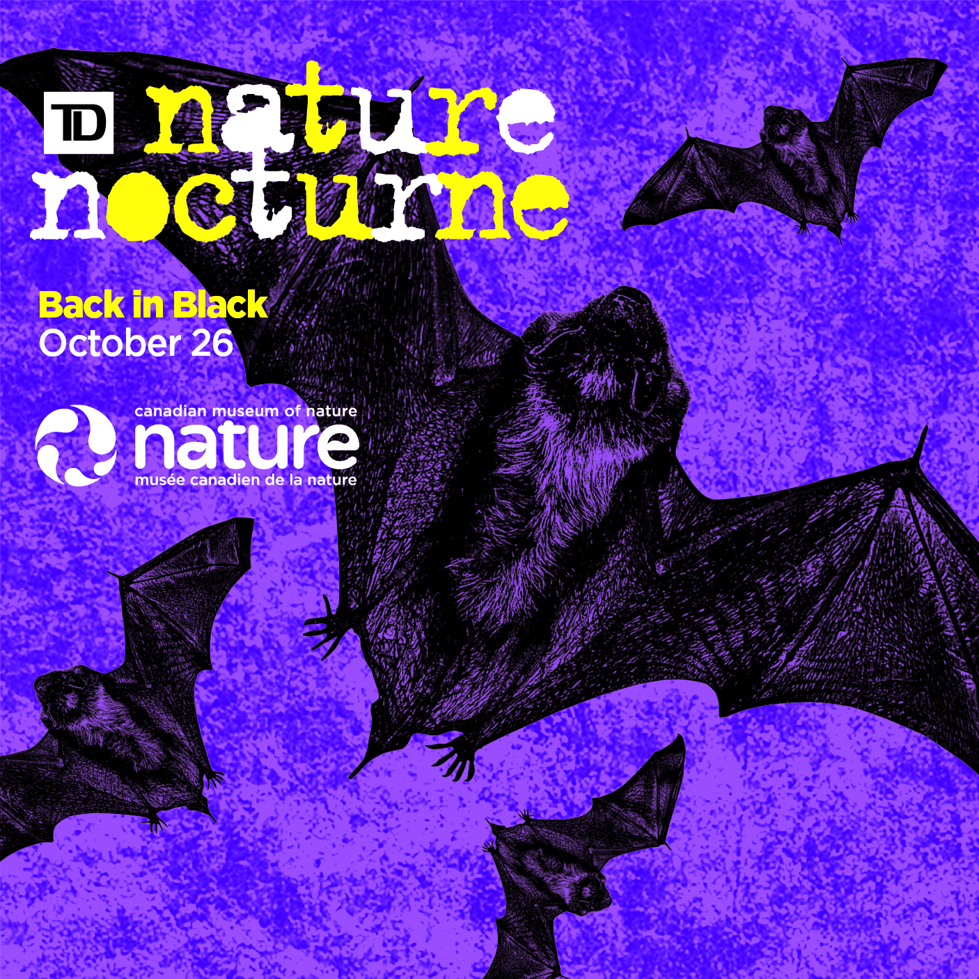 Nature Nocturne Back in Black – SOLD OUT | JUMP Radio